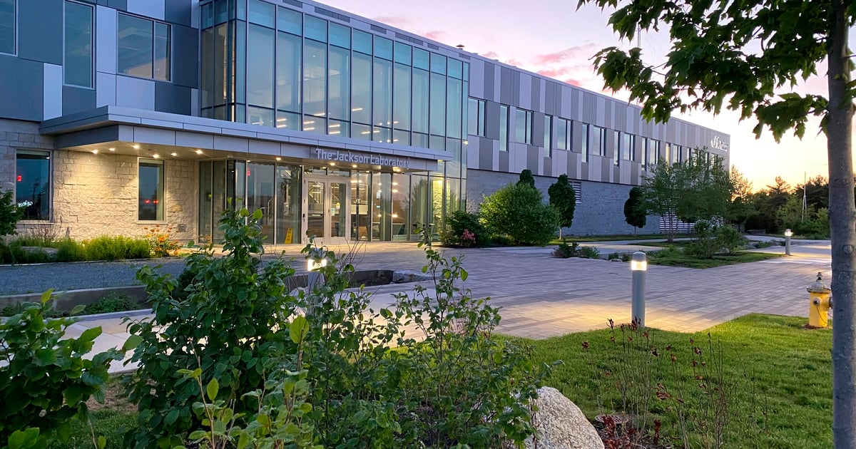 Multiple Laboratory Projects | Page