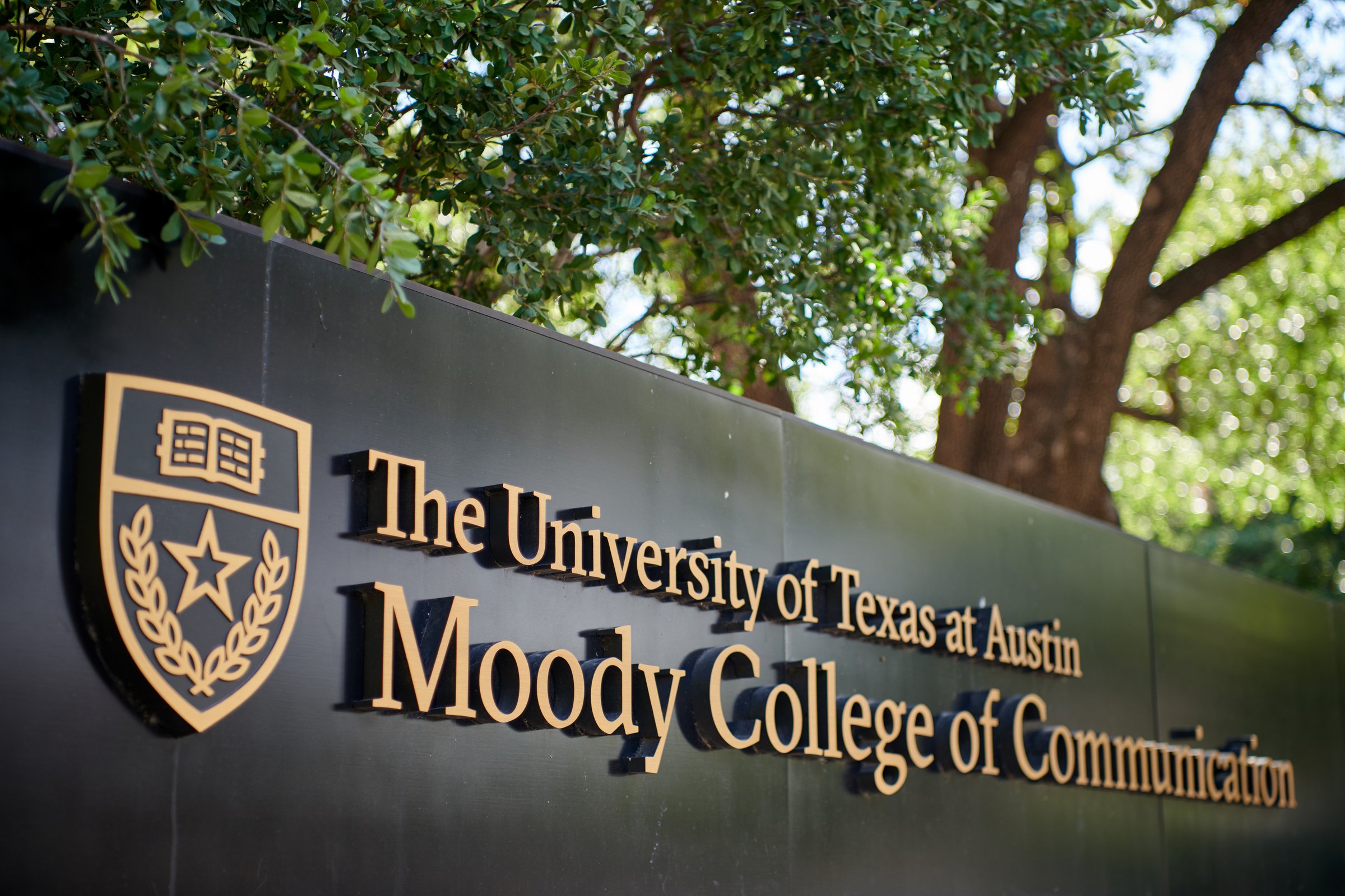 The University of Texas at Austin Identity | Page