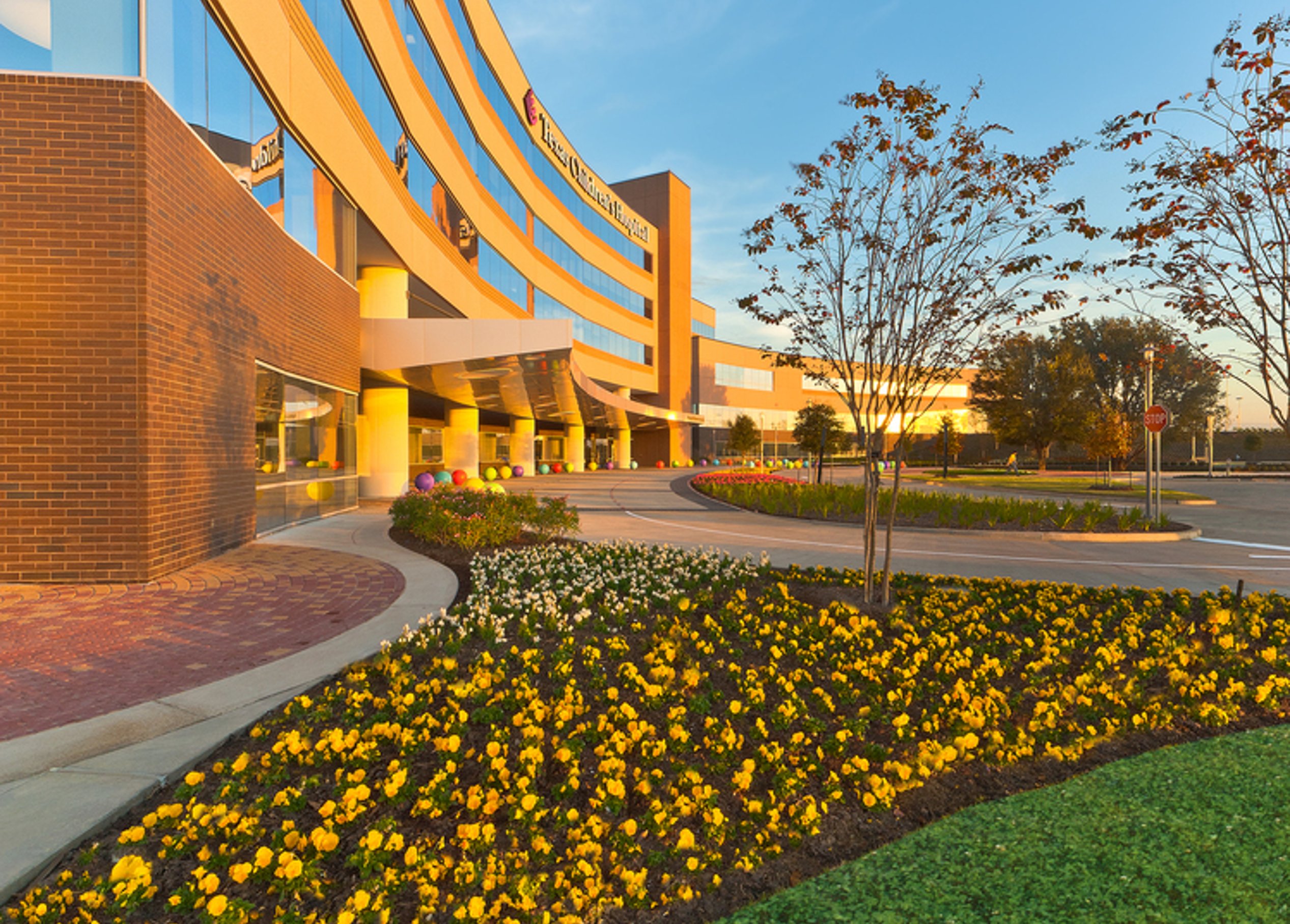 Texas Children's Hospital West Campus | Page