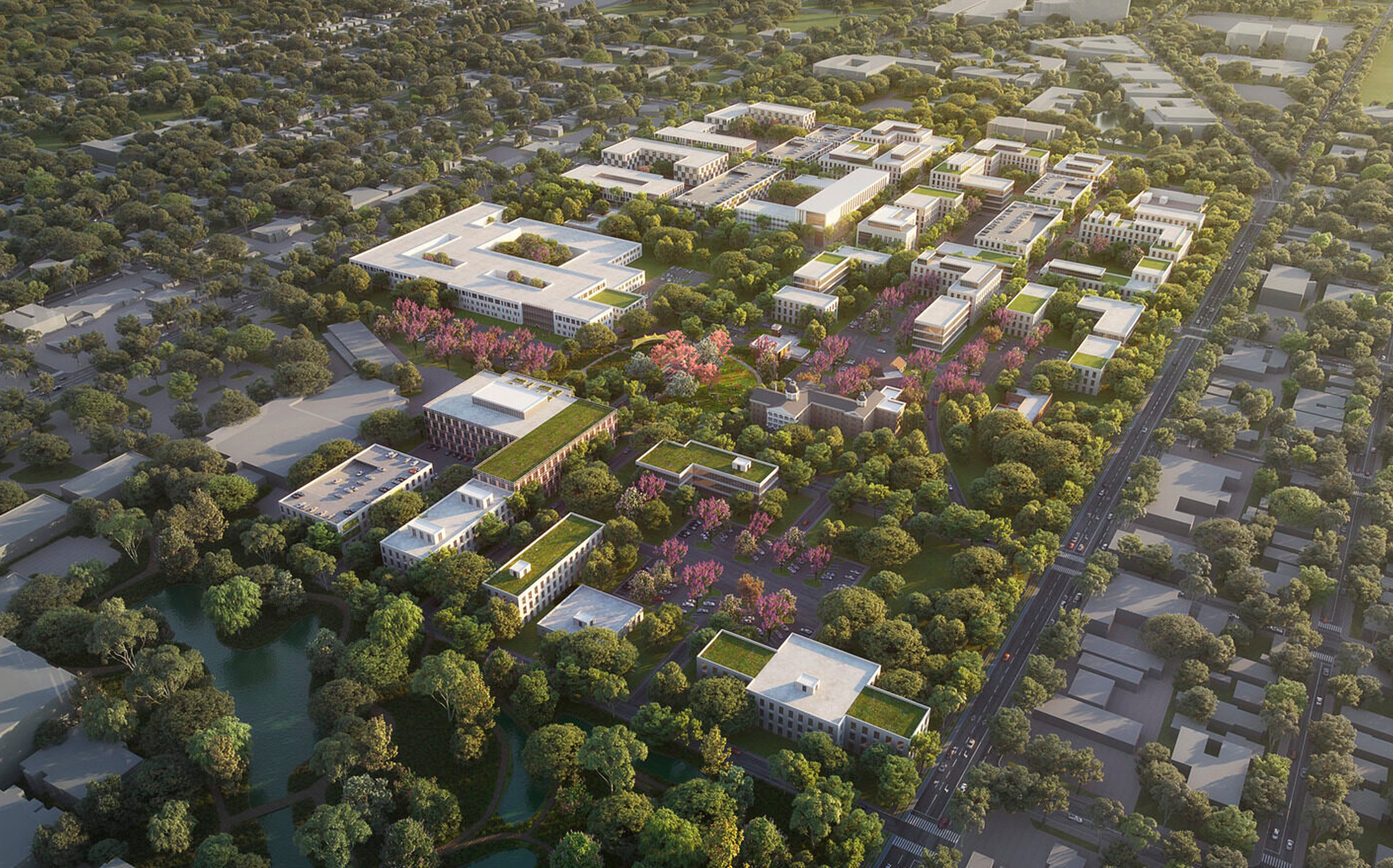 Austin State Hospital Brain Health Campus Master Plan | Page